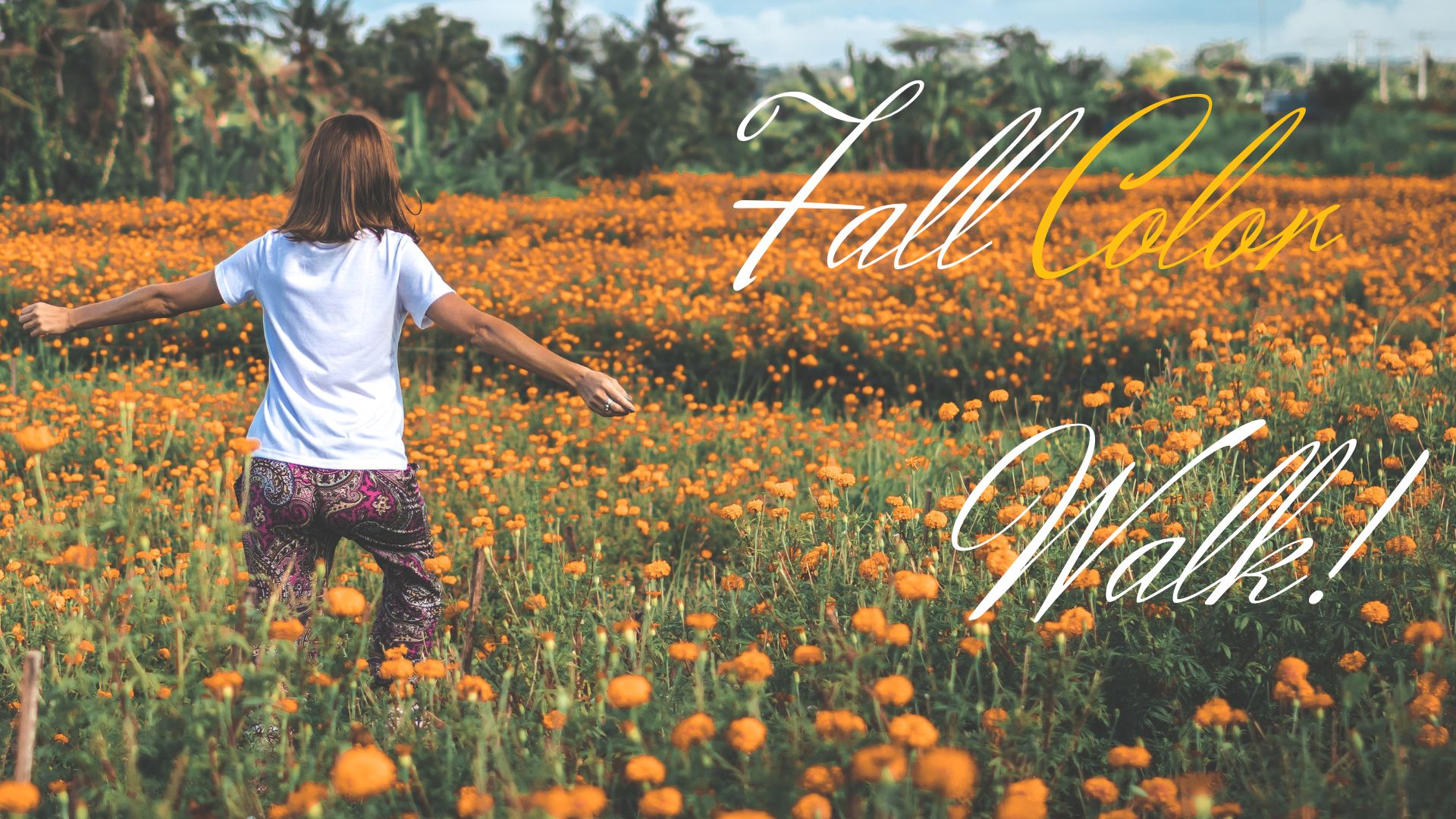 Fall Color Walk|Iowa Arboretum & Gardens